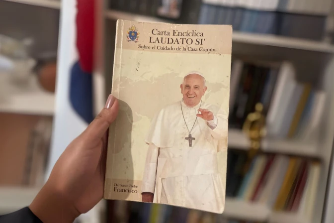Laudato Si' Turns 10: A Decade of Impact on the Environment and Beyond ...