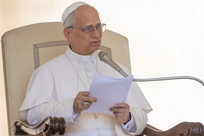 Pope Leo XIV Releases Prayer Intentions for 2027 - Catholic News