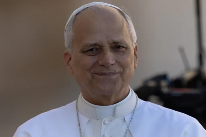 Pope Leo XIV's Prayer Intentions for 2026 - Catholic News